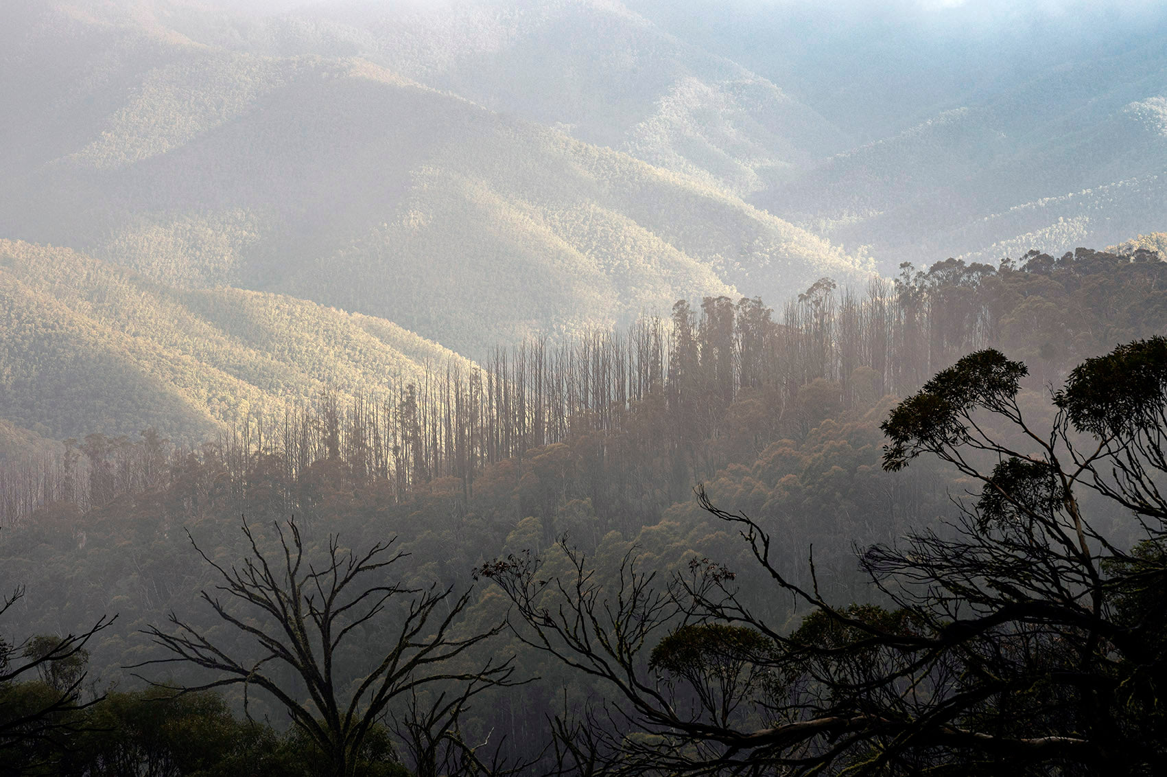 Landscapes – Wayne Mitchell Prints