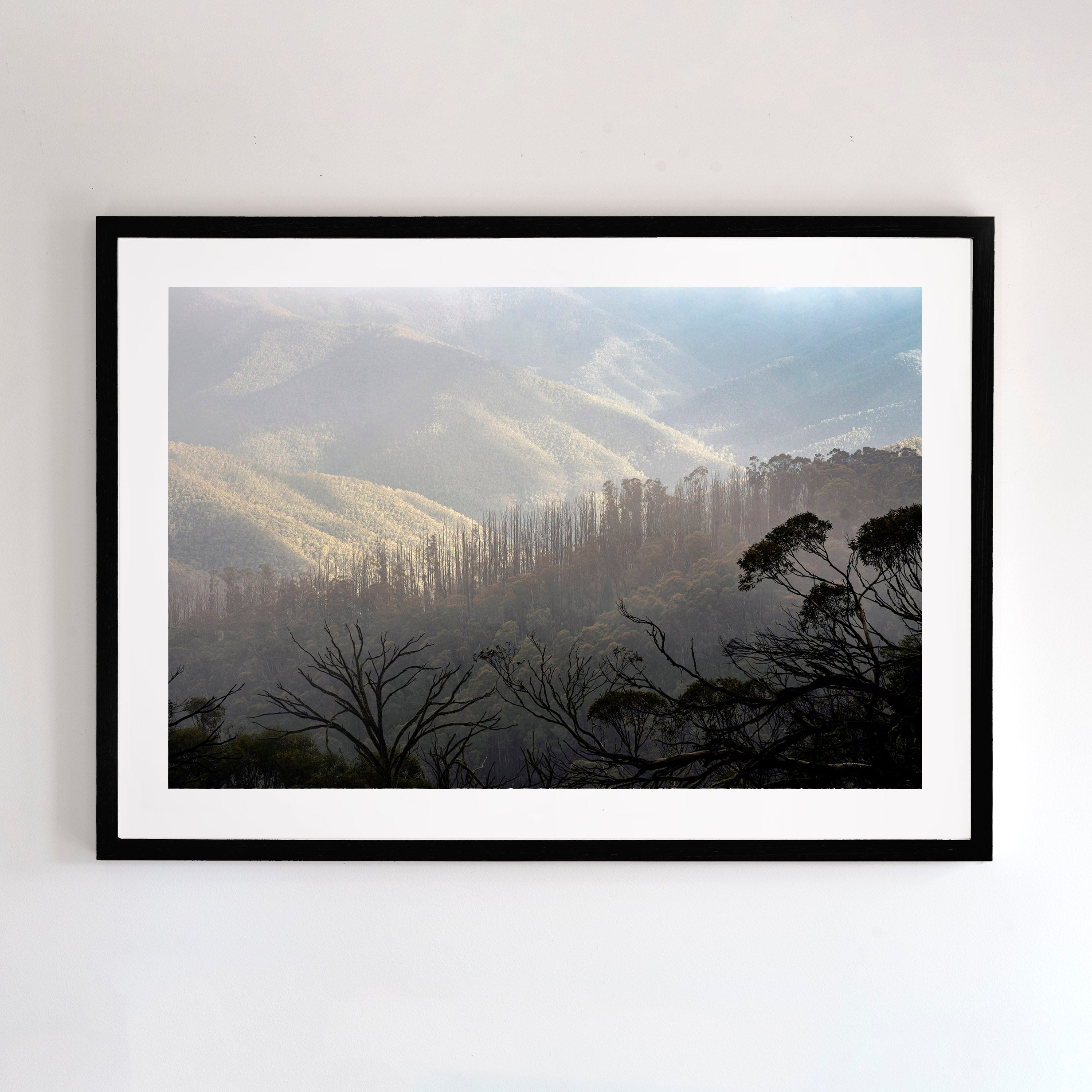 Yerram – Wayne Mitchell Prints